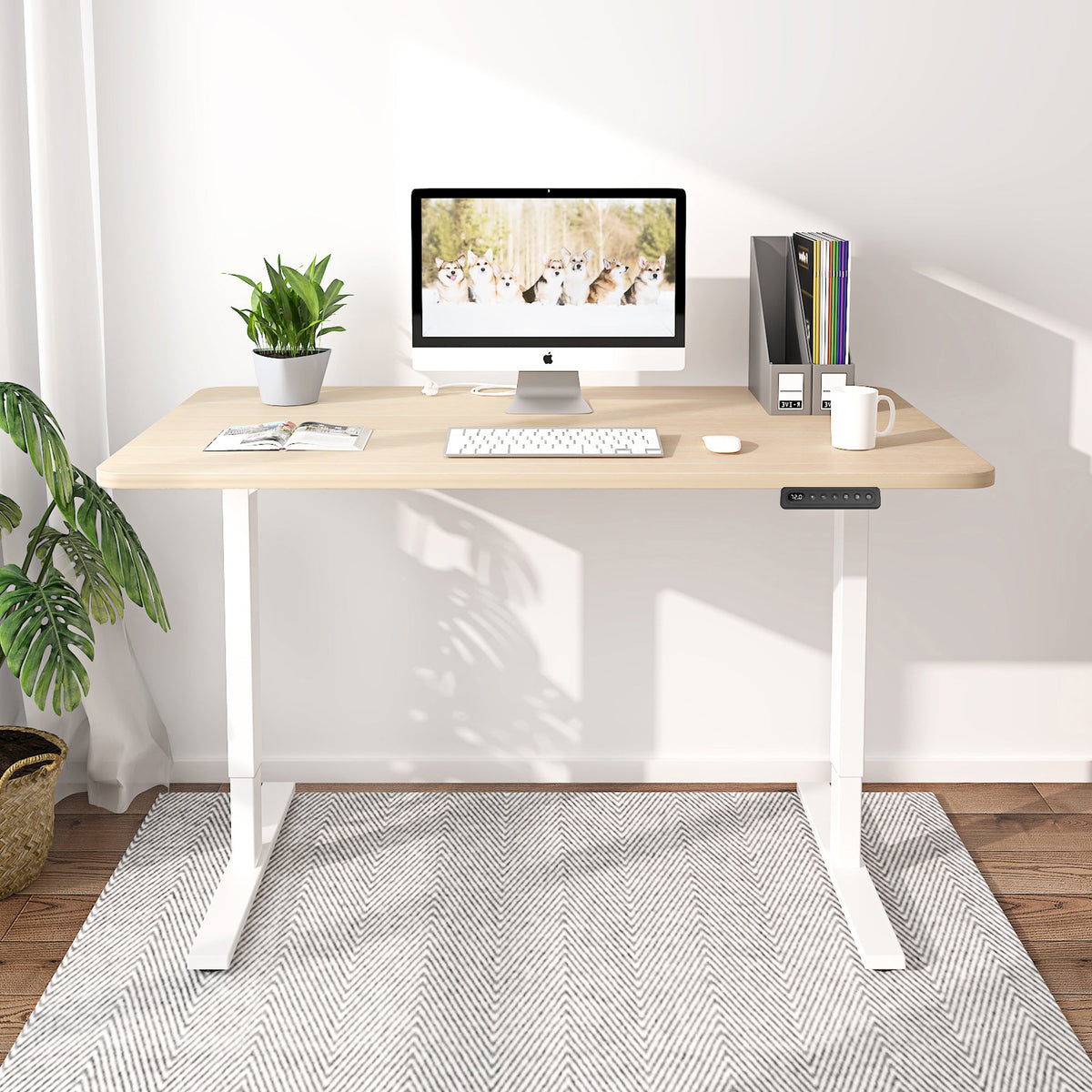 Maidesite Pro Series 48 Inch Height Adjustable Electric Standing Desk ...
